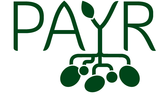 Mikä PAYR? - #peruna365